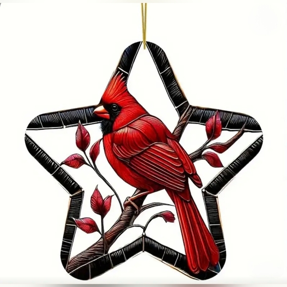 Source Unknown | Accents | 2d Flat Acrylic Cardinal In A Star Home ...